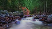 Why Kasol is called Mini Israel? - Hello Travel Buzz