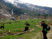 Why Kasol is called Mini Israel? - Hello Travel Buzz