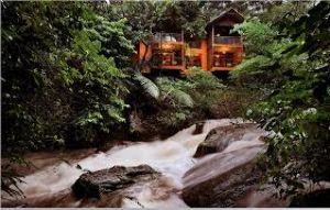 Bamboo Forests in wayanad India - reviews, best time to visit, photos ...