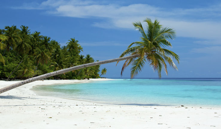 Neil Island 2019, #1 places to visit in andaman and nicobar island, top ...
